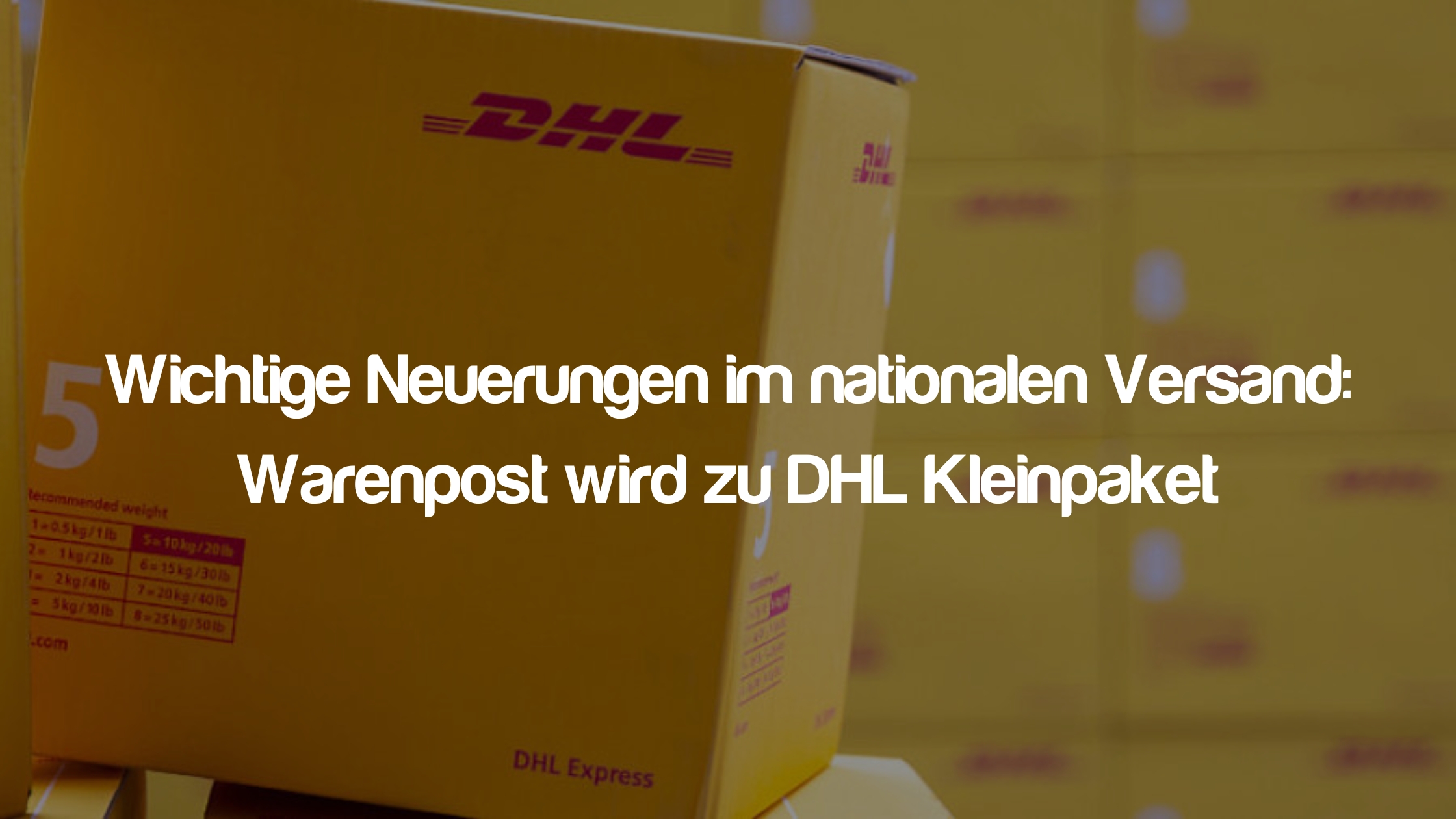 DHL Kleinpaket 2025: Neuerungen im Versand